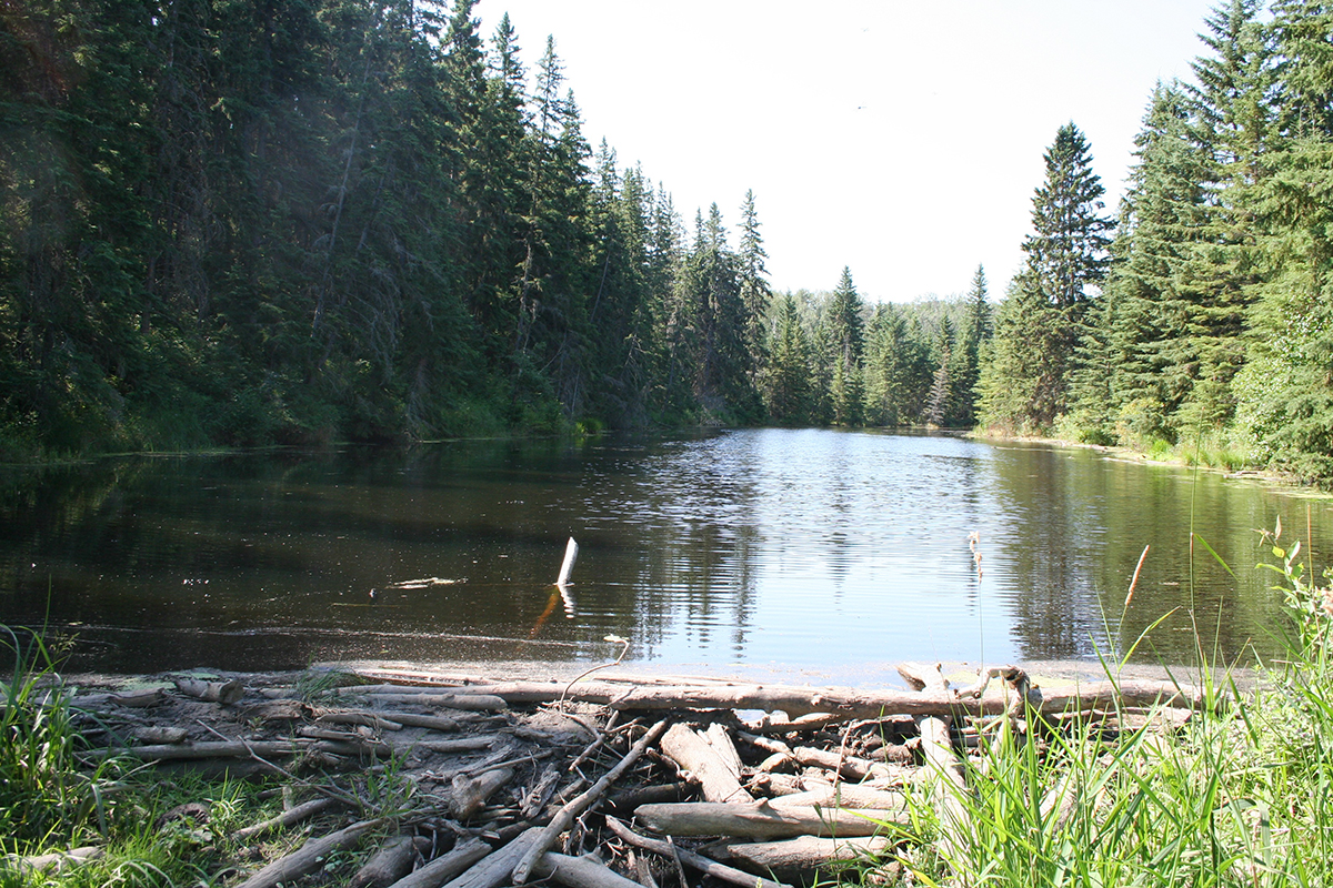 Edmonton Tourist Areas: Top Attractions and Must-Visit Spots in the ...
